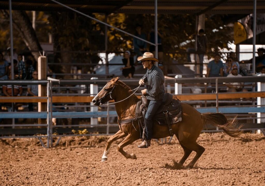 How to training your young horse – A complete 8-week program