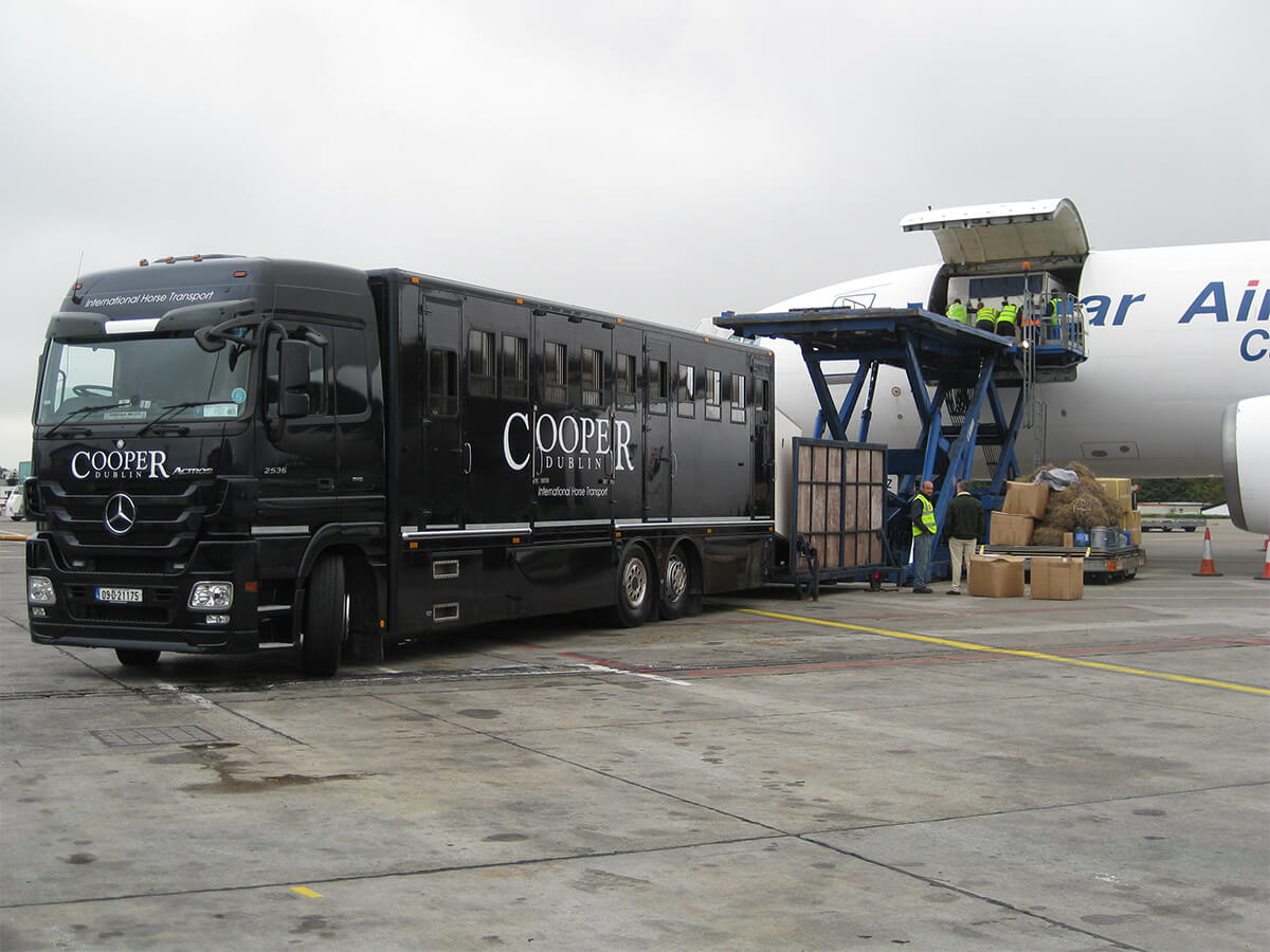 Cooper international horse transport