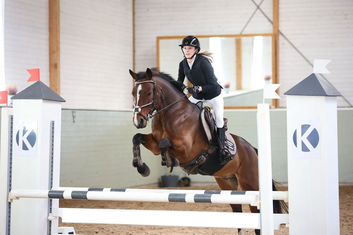 Types of Horses: Breeds, Sizes & Uses Explained