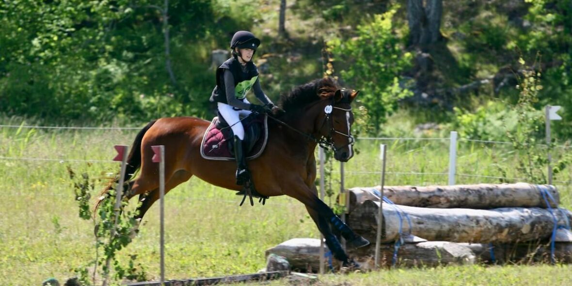 Top 5 Air Vests and Essential Safety Gear for Equestrian Sports