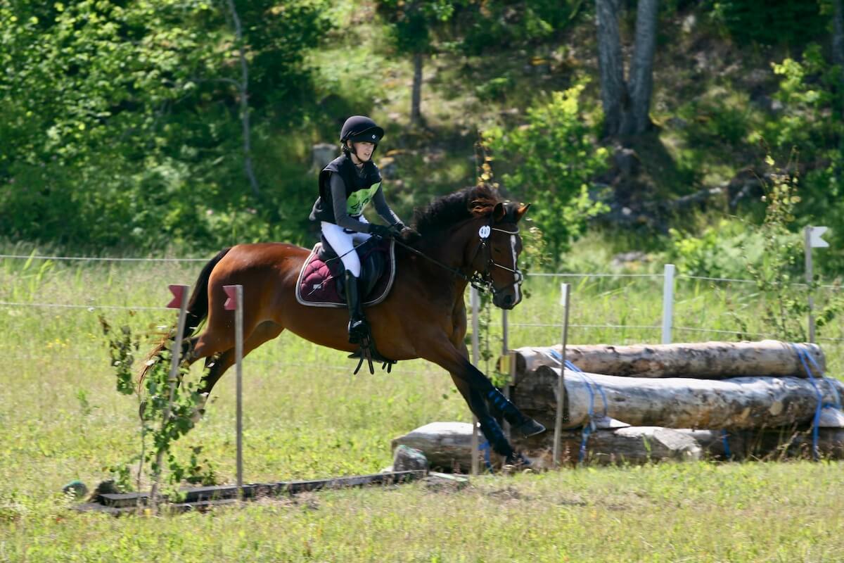 Top 5 Air Vests and Essential Safety Gear for Equestrian Sports