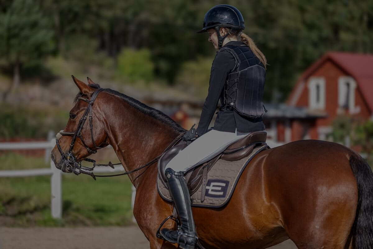 Horses for Sale – Equine Classified Ads to Buy and Sell Online at ...