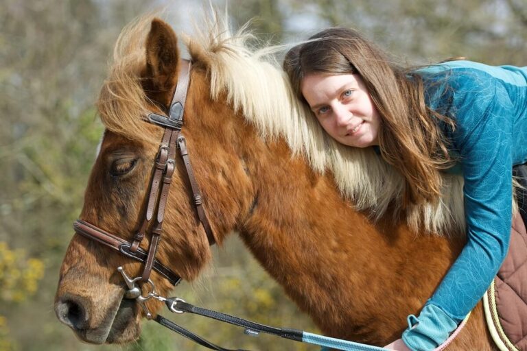 Checklist Before Buying a Horse | Essential Guide for First-Time Horse ...
