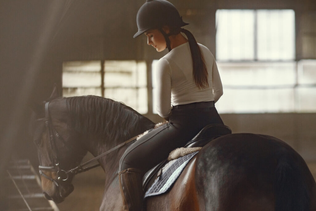 Types of Horses: Breeds, Sizes & Uses Explained