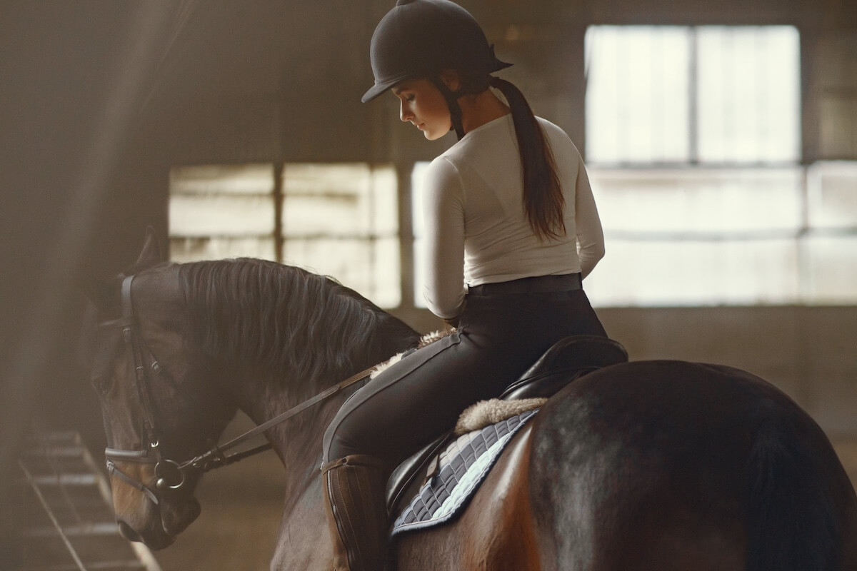 Types of Horses: Breeds, Sizes & Uses Explained