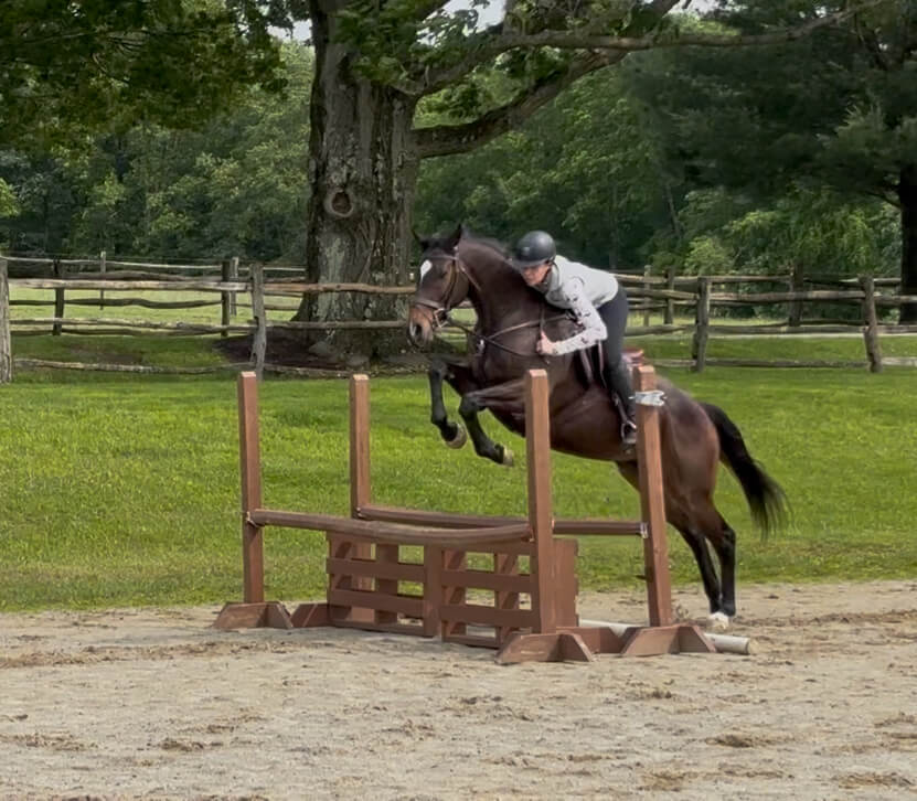 Lord Revelstoke – 16.2h OTTB Gelding for Sport & Hunt