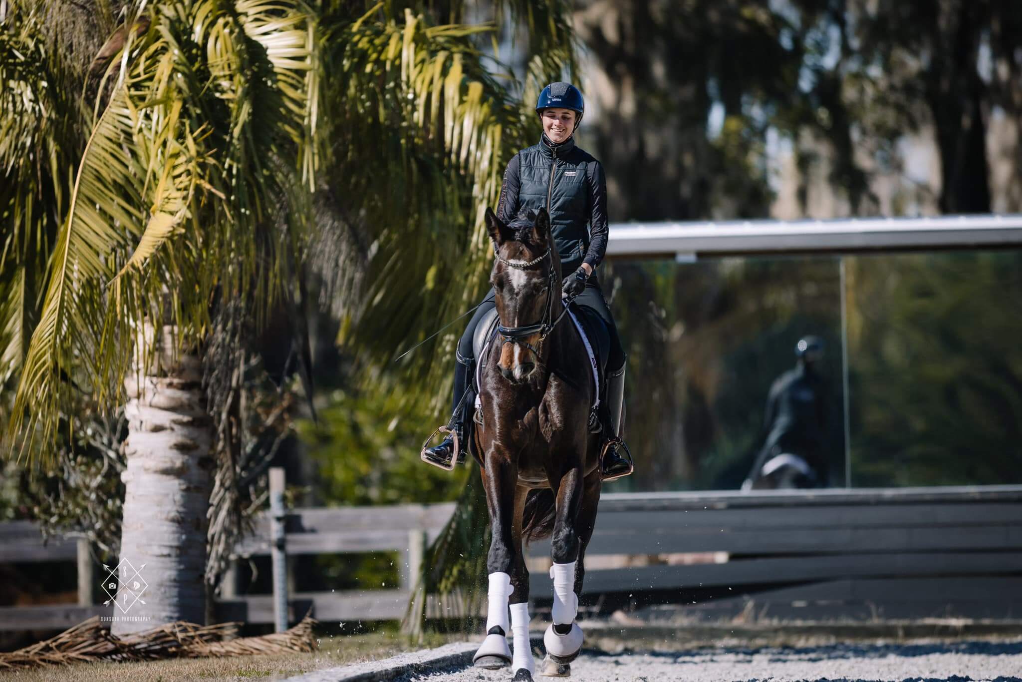 Anna Merritt Dressage Horses - Ocala United States