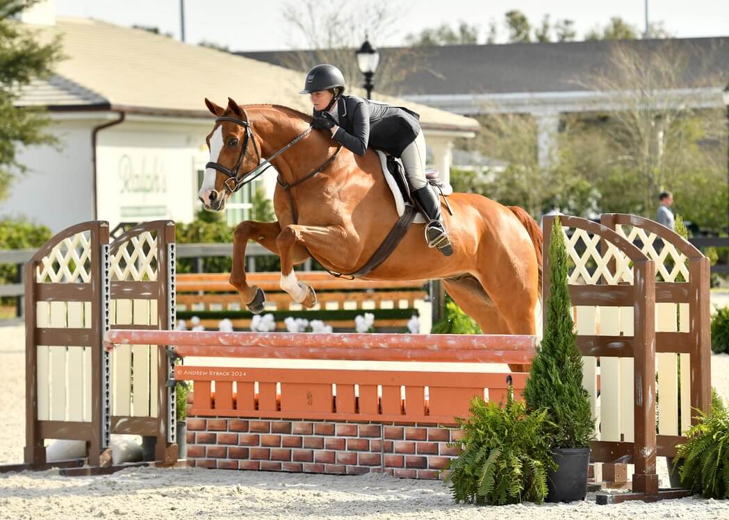 Century Mill Stables Florida