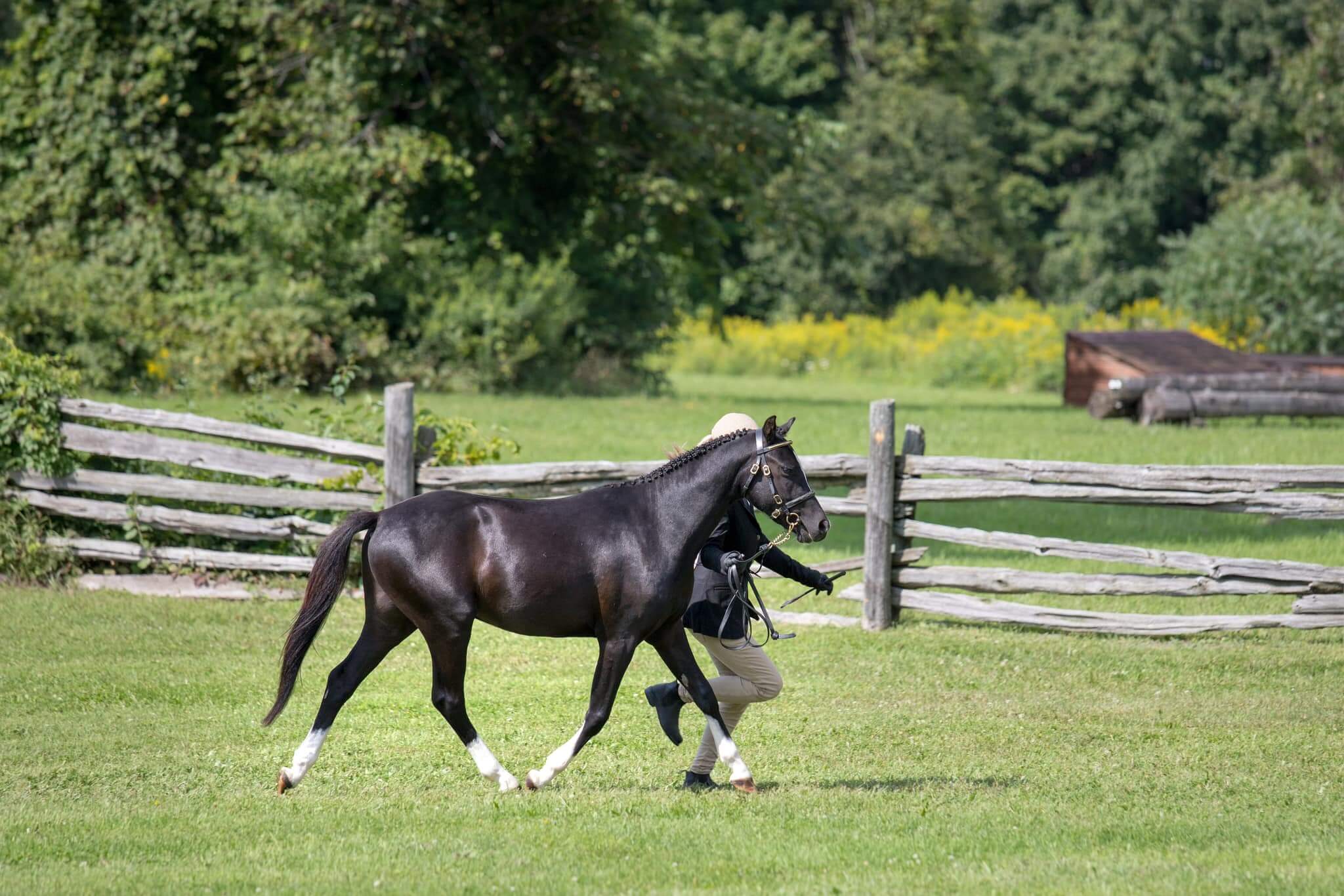 Crown Ridge Farms Canada