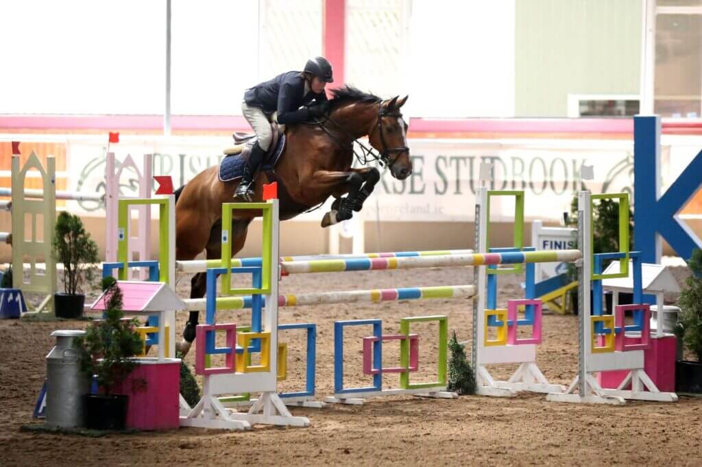 Richmond Park Stud Horses for sale Ireland